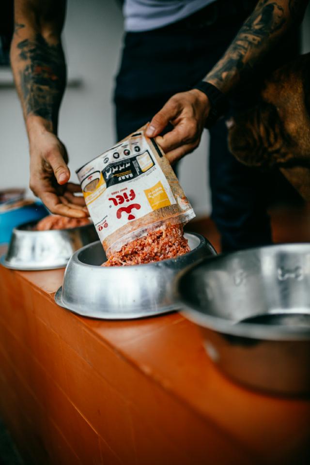 Dieta Barf Para Perros ≫ Guía Completa | Fielbarf