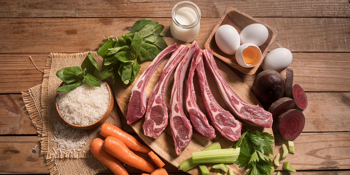 Dieta Barf Para Perros ≫ Guía Completa | Fielbarf